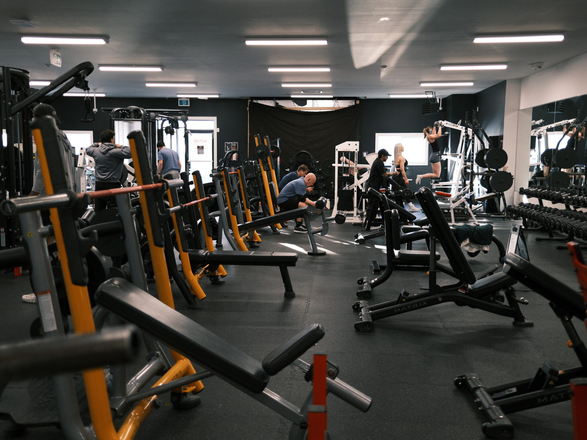 Benefits of Working Out 5 Days a Week: What Actually Changes in Your Body